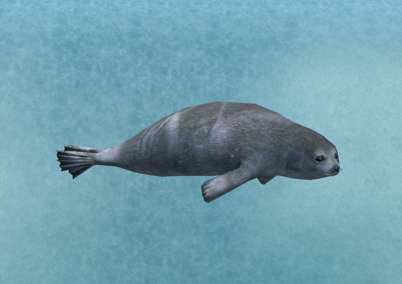 Weddell Seal | Endless Ocean Wiki | Fandom