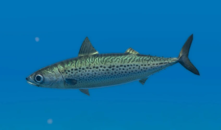 Blue Mackerel | Endless Ocean Wiki | Fandom