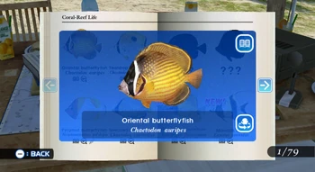 Marine Encyclopedia (Endless Ocean 2) | Endless Ocean Wiki | Fandom