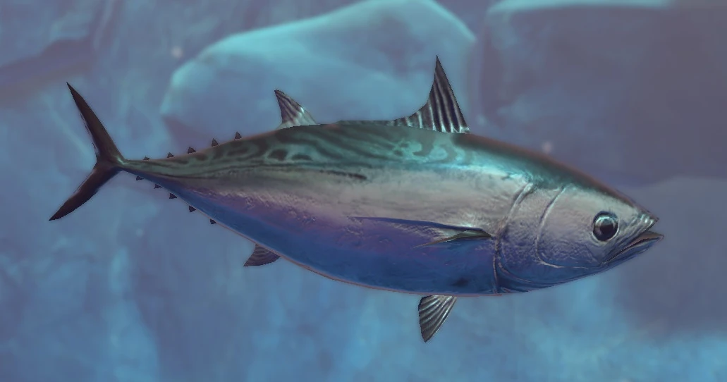 Mackerel Tuna | Endless Ocean Wiki | Fandom