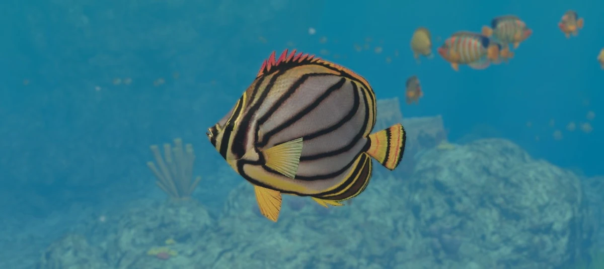Scrawled Butterflyfish | Endless Ocean Wiki | Fandom