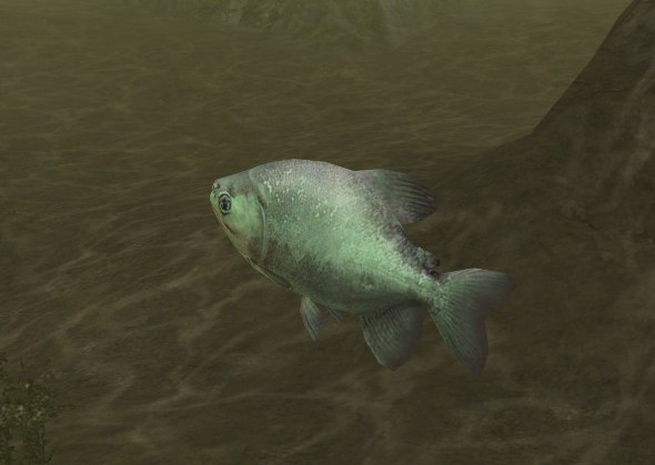 Tambaqui Endless Ocean Wiki Fandom