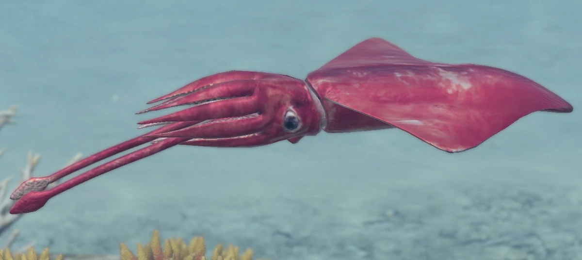 Diamond Squid | Endless Ocean Wiki | Fandom