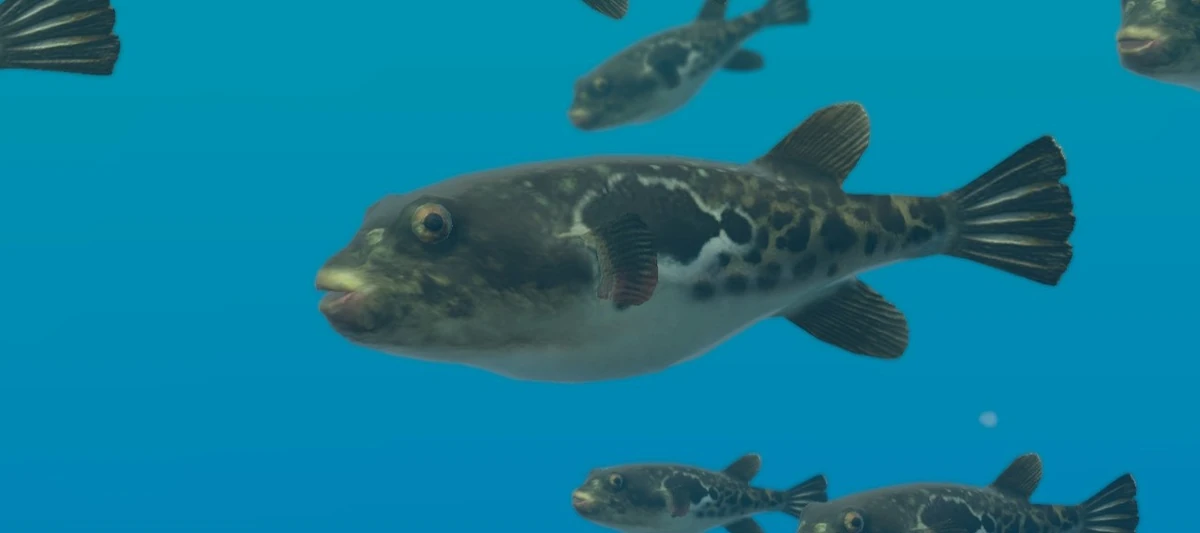 Tiger Puffer | Endless Ocean Wiki | Fandom