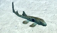 Epaulette Shark | Endless Ocean Wiki | Fandom