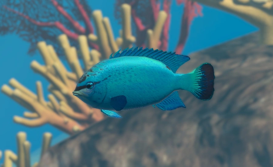 Sapphire Devil | Endless Ocean Wiki | Fandom