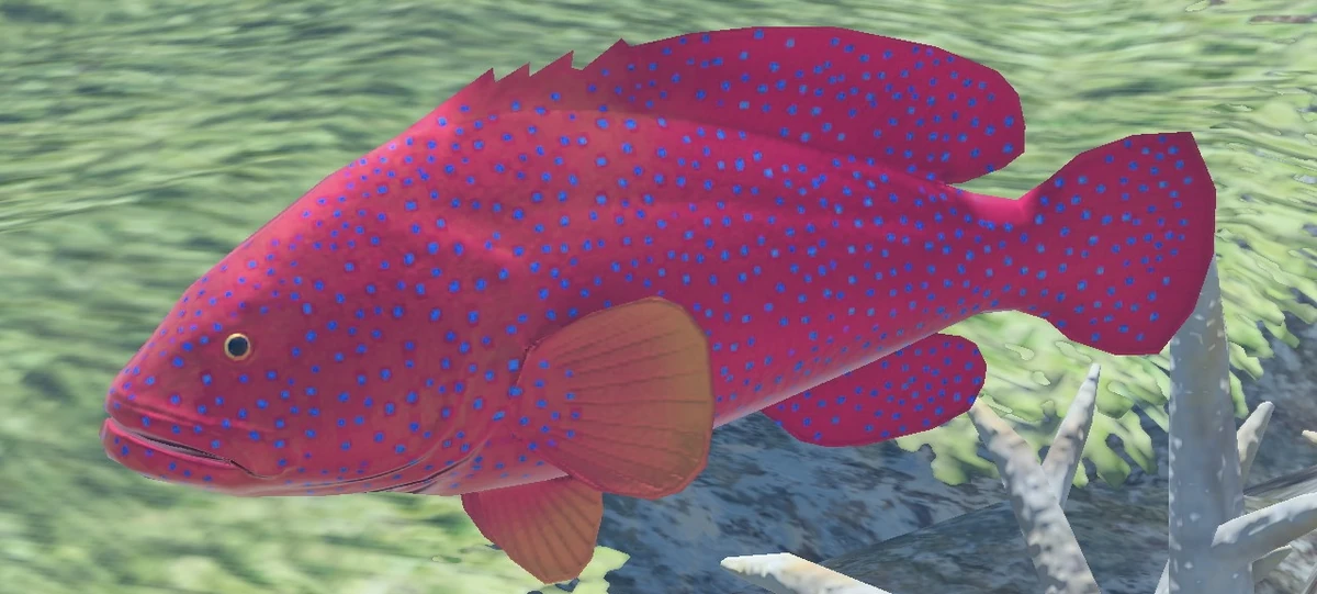 Coral Cod | Endless Ocean Wiki | Fandom