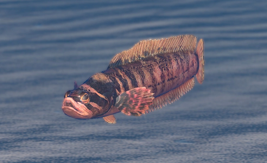 Six-Lined Prickleback | Endless Ocean Wiki | Fandom