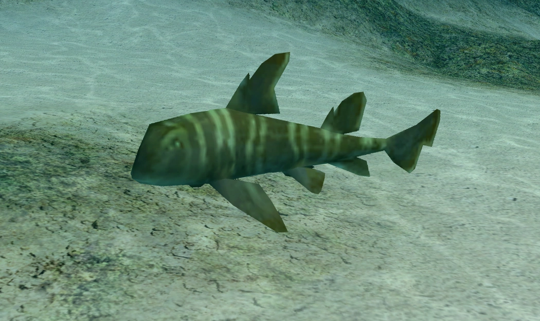 Japanese Bullhead Shark | Endless Ocean Wiki | Fandom