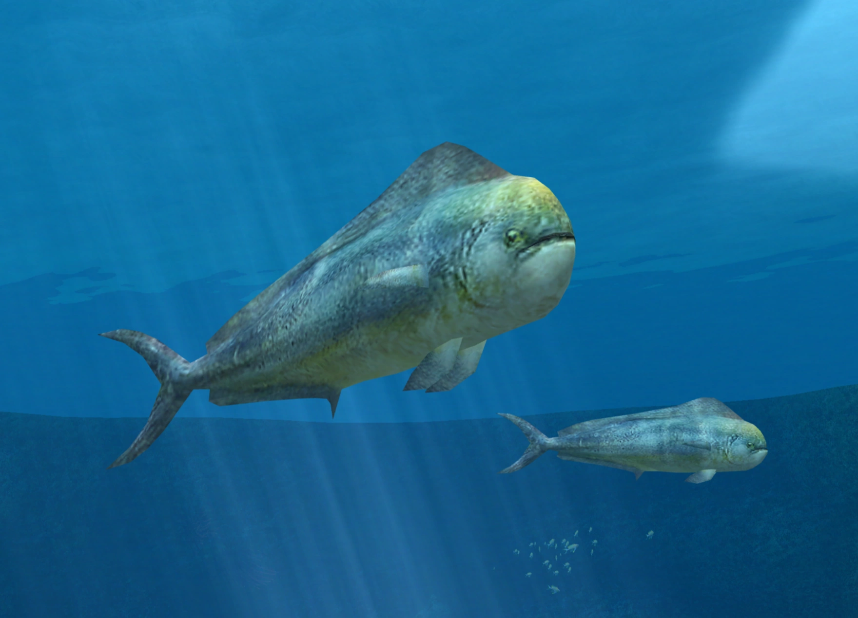 Mahi-Mahi | Endless Ocean Wiki | Fandom