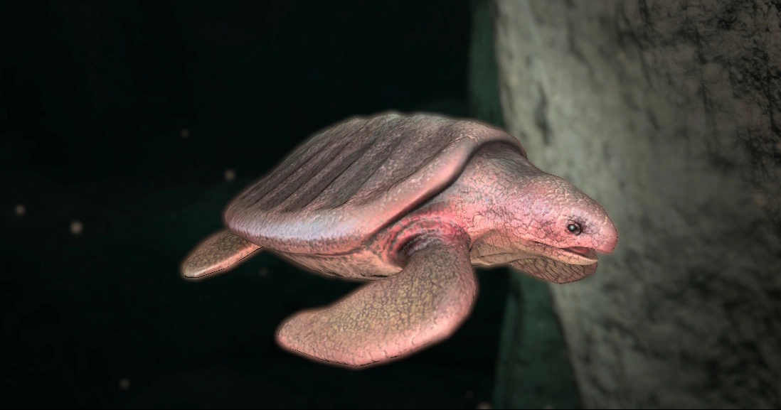 Protostega | Endless Ocean Wiki | Fandom