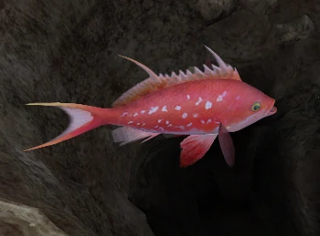 Sakuradai | Endless Ocean Wiki | Fandom