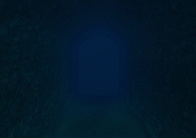 Well Bottom | Endless Ocean Wiki | Fandom