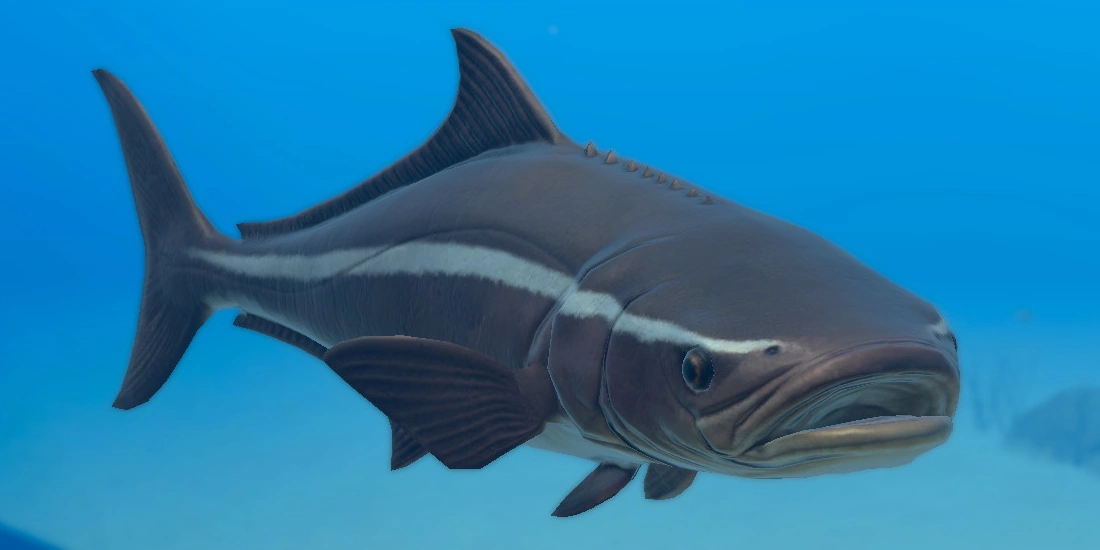 Cobia | Endless Ocean Wiki | Fandom