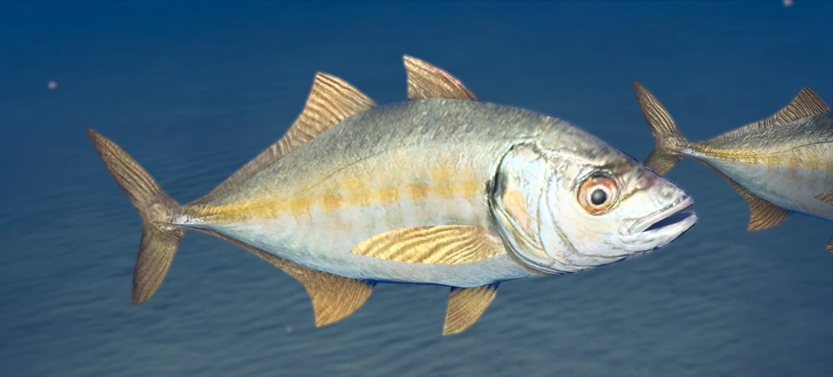 White Trevally | Endless Ocean Wiki | Fandom