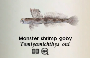 Monster Shrimp Goby | Endless Ocean Wiki | Fandom