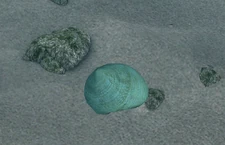Lucky Shell | Endless Ocean Wiki | Fandom