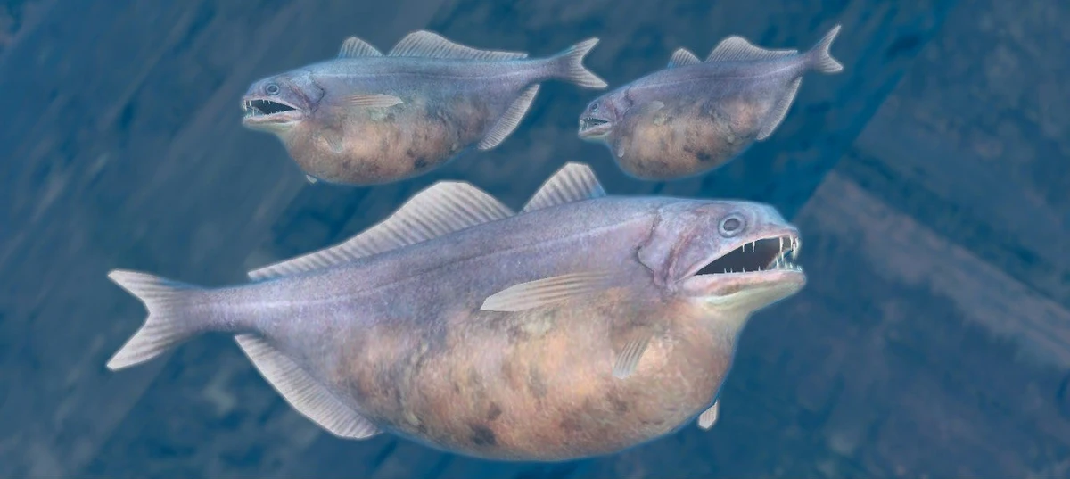 Black Swallower | Endless Ocean Wiki | Fandom