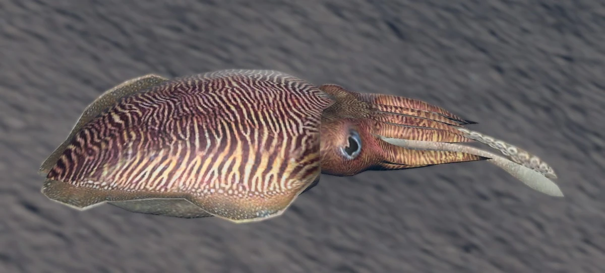 Golden Cuttlefish | Endless Ocean Wiki | Fandom