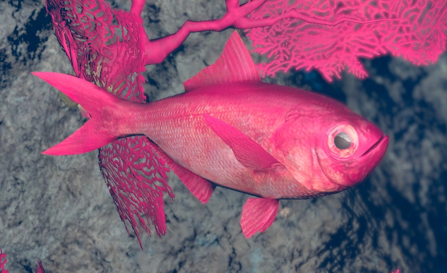 Splendid Alfonsino | Endless Ocean Wiki | Fandom