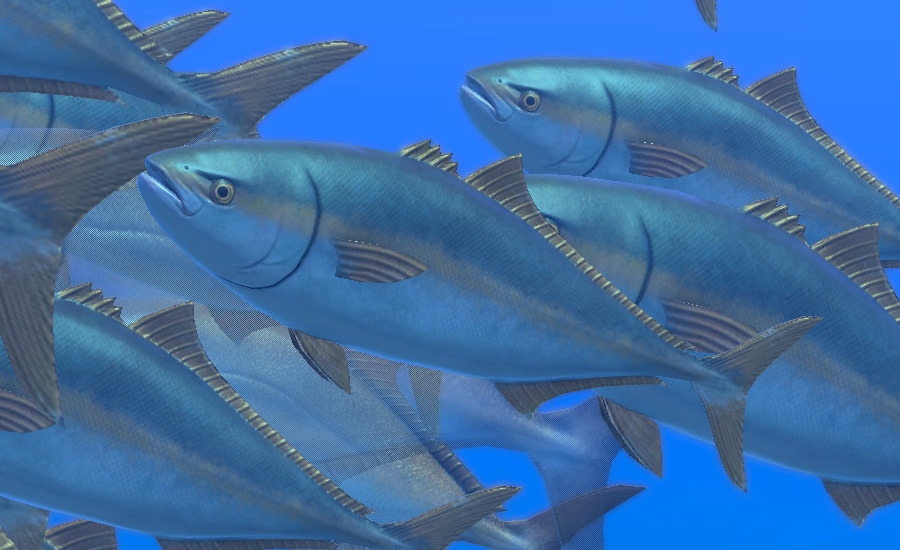 Yellowtail Endless Ocean Wiki Fandom