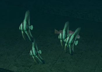 Golden Spadefish | Endless Ocean Wiki | Fandom