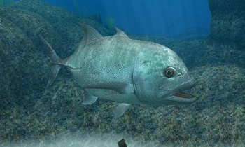 Giant Trevally | Endless Ocean Wiki | Fandom