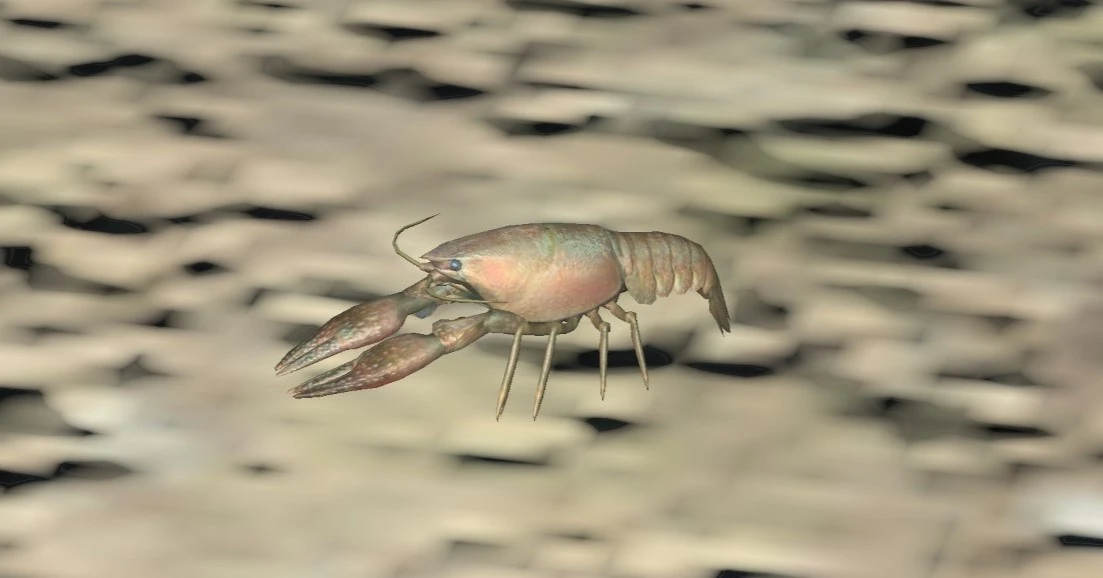 Japanese Crayfish | Endless Ocean Wiki | Fandom