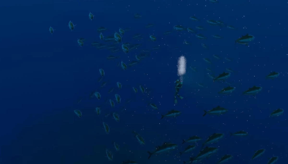 Open Ocean | Endless Ocean Wiki | Fandom