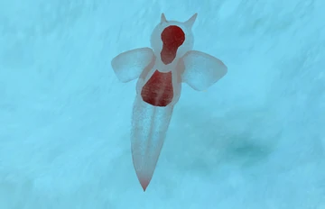 Poisonous Sea Angel