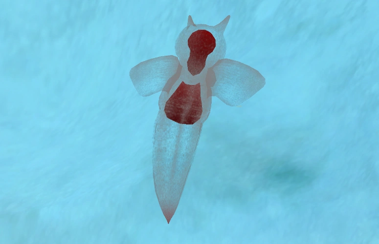 Blue Angels Sea Creature