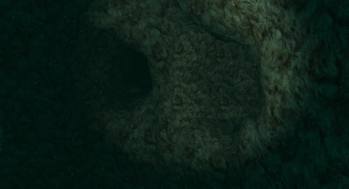Twin Caves | Endless Ocean Wiki | Fandom