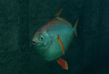 Opah | Endless Ocean Wiki | Fandom