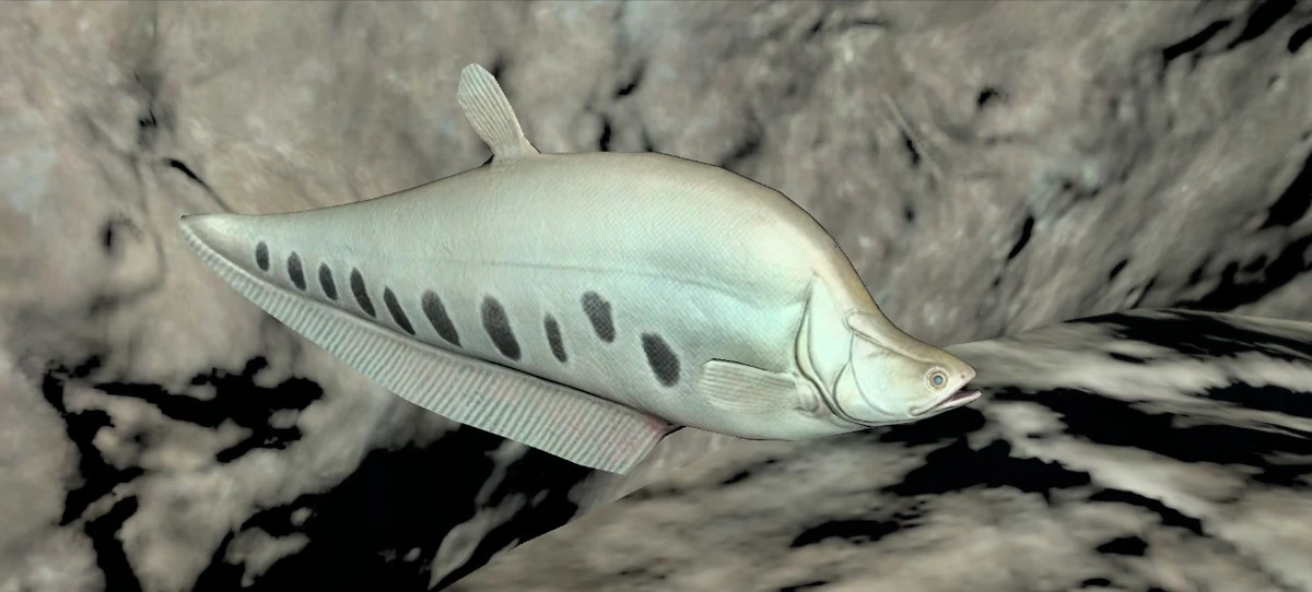 Clown Featherback | Endless Ocean Wiki | Fandom