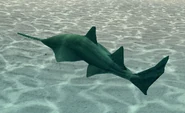 Dwarf Sawfish | Endless Ocean Wiki | Fandom