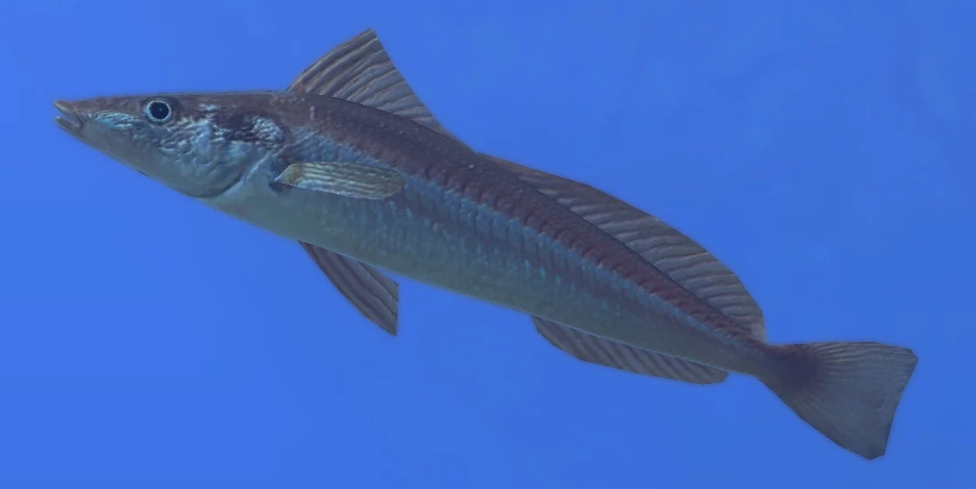 Japanese Whiting | Endless Ocean Wiki | Fandom