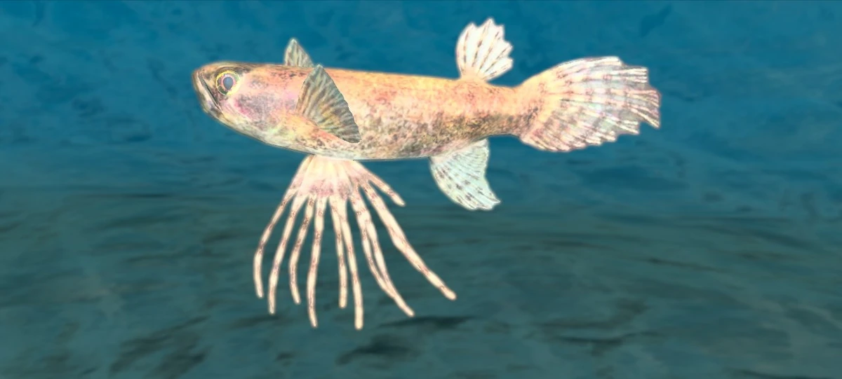 Freshwater Butterflyfish | Endless Ocean Wiki | Fandom