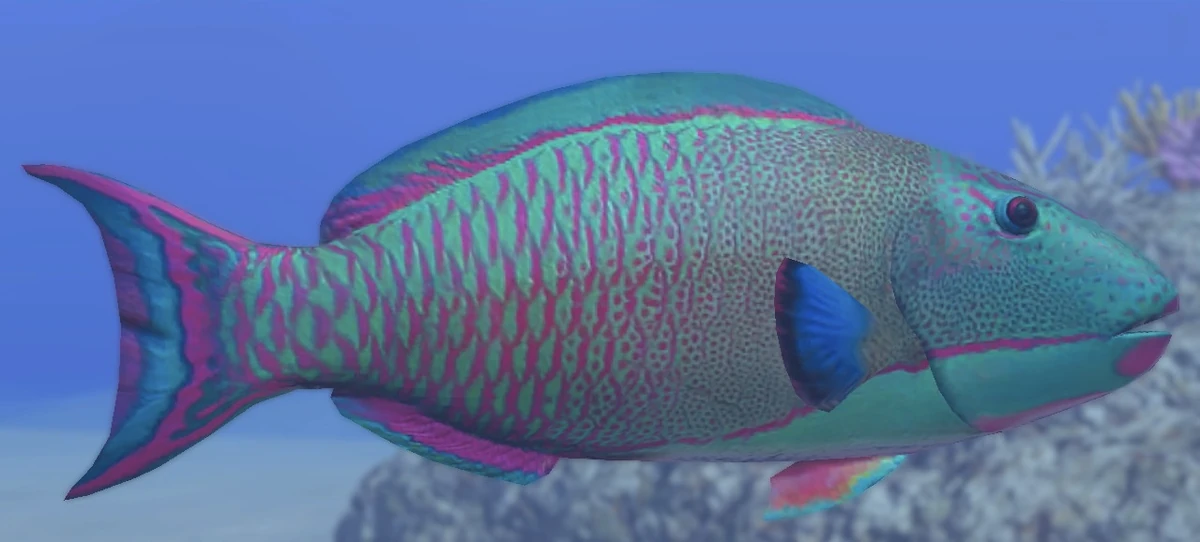 how to enhance parrot fish coloring pages