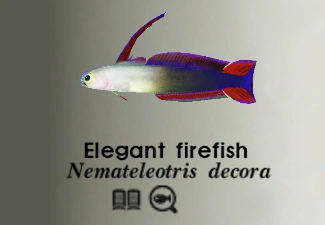 Elegant Firefish | Endless Ocean Wiki | Fandom
