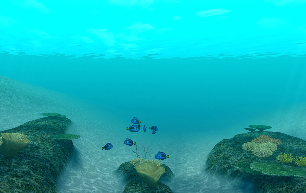 Deep Hole Entrance | Endless Ocean Wiki | Fandom