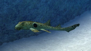 Epaulette Shark | Endless Ocean Wiki | Fandom