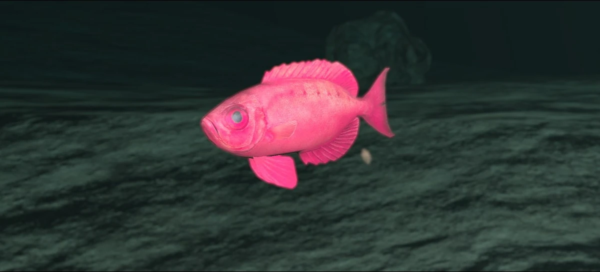 Moontail Bullseye | Endless Ocean Wiki | Fandom