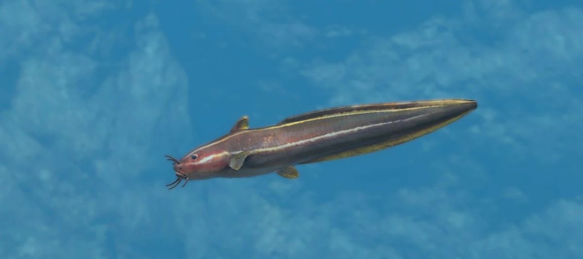 Eeltail Catfish | Endless Ocean Wiki | Fandom