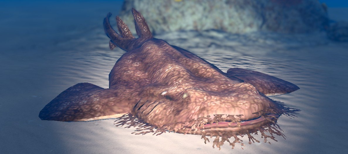 Tasselled Wobbegong Endless Ocean Wiki Fandom