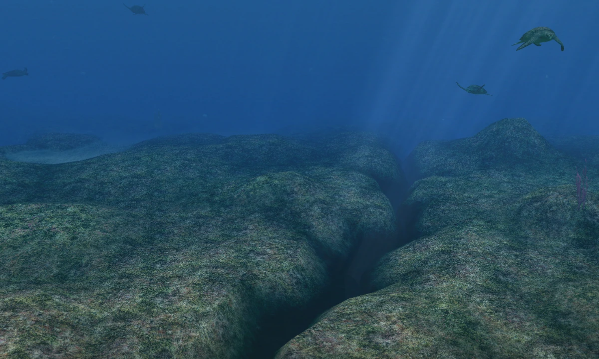 Long Fissure | Endless Ocean Wiki | Fandom
