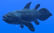 Coelacanth | Endless Ocean Wiki | Fandom
