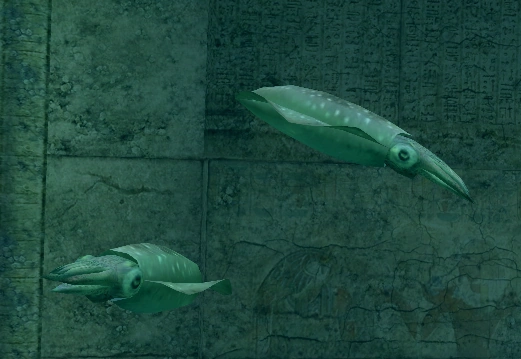 Bigfin Reef Squid | Endless Ocean Wiki | Fandom