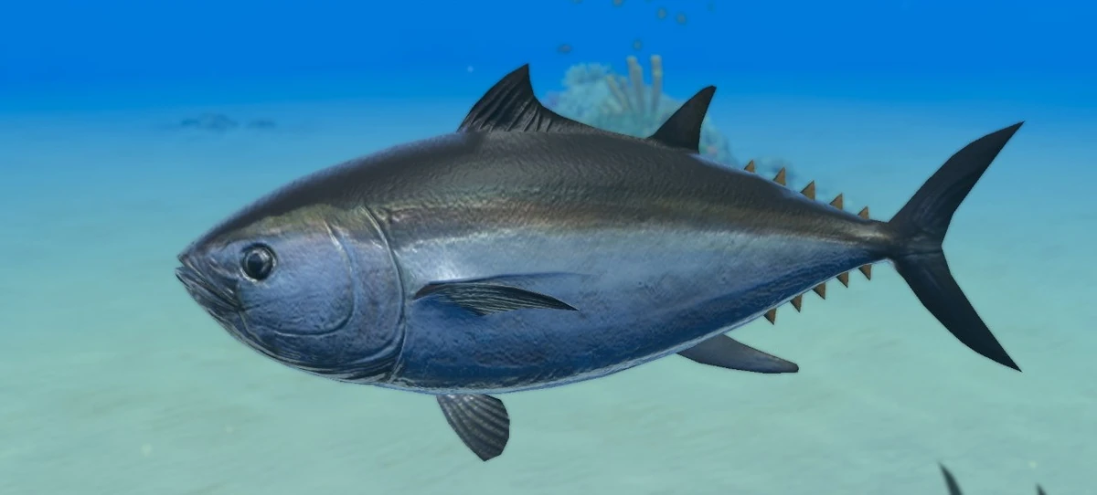 Pacific Bluefin Tuna | Endless Ocean Wiki | Fandom