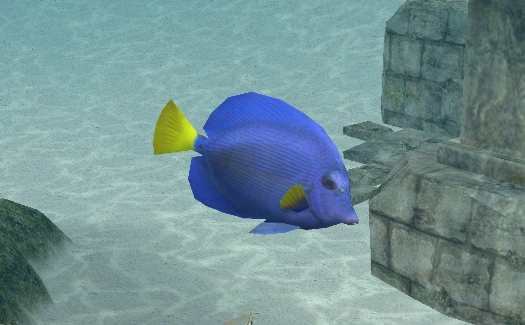 Purple Tang | Endless Ocean Wiki | Fandom
