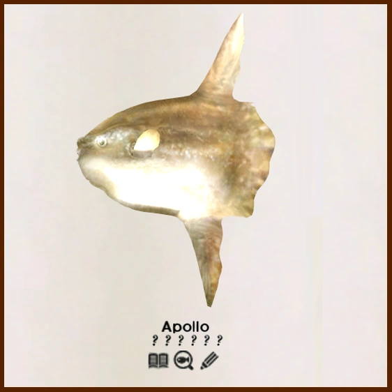 Legendary Creatures | Endless Ocean Wiki | Fandom